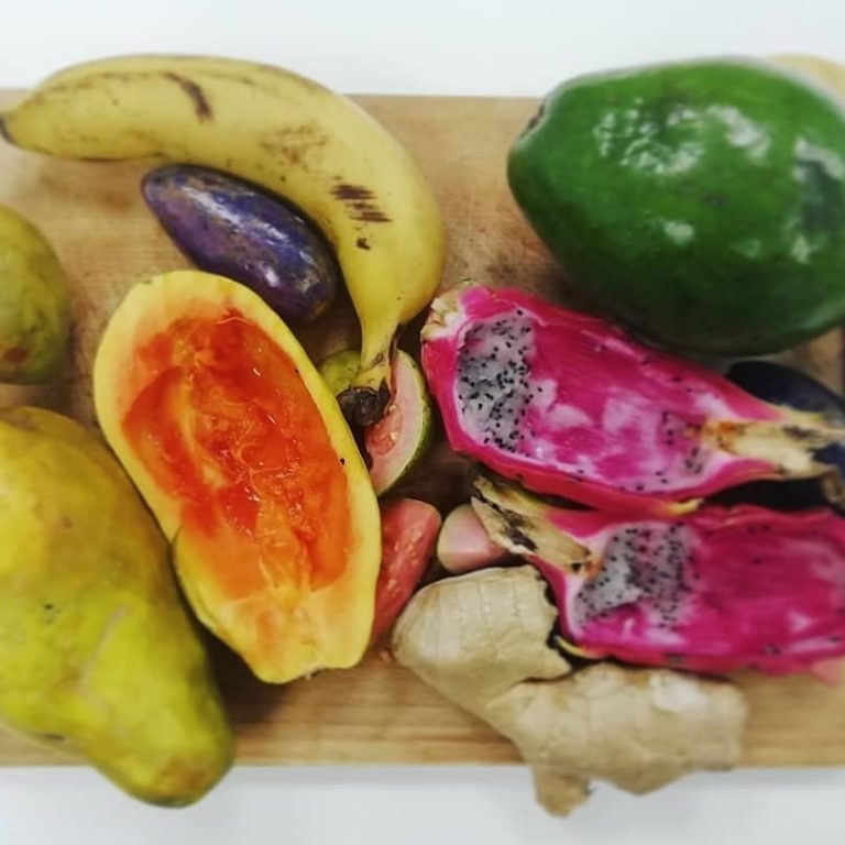 Fruits of the Past, Present, and Future: A Virtual Workshop with Anna ...